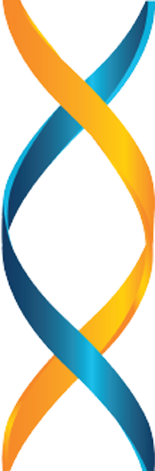 First Insight at NRF 2018